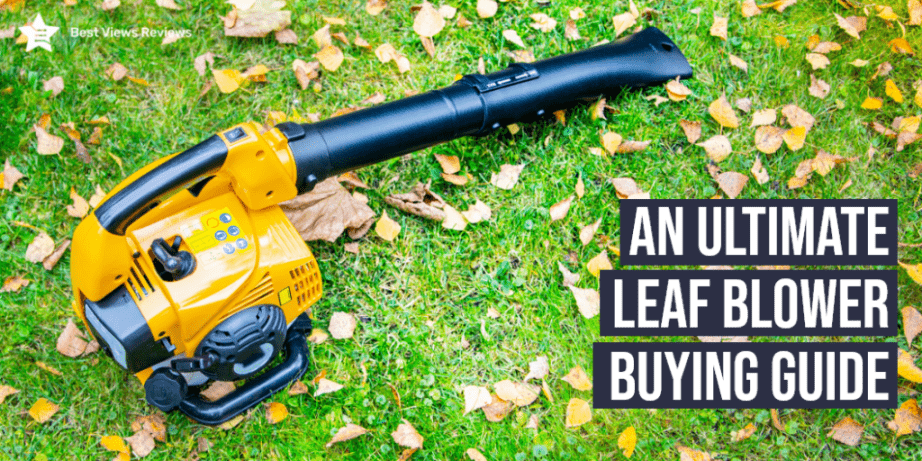 An Ultimate Leaf Blower Buying Guide - Bestviewsreviews