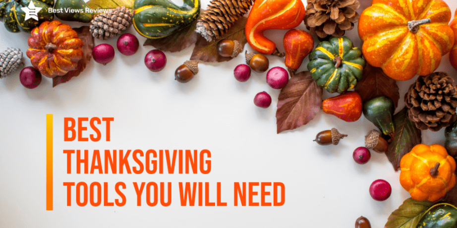 Best Thanksgiving 2022 Tools You Will Need - Bestviewsreviews